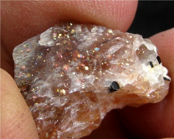 Rainbow Lattice Sunstone Rough Parcel, Australia, 210 gr. / 1050 carats ...